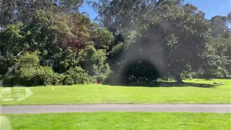 Golden Gate Park Shuttle Tour 3 Youtube