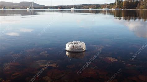 Plastic Bottle In Lake Windermere Uk Stock Video Clip K011 7351 Science Photo Library