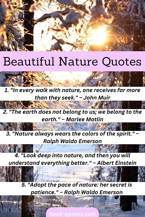Beautiful Words About Nature 100 Words To Describe Nature Ltax