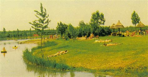 History Naturist Camping Flevo Natuur