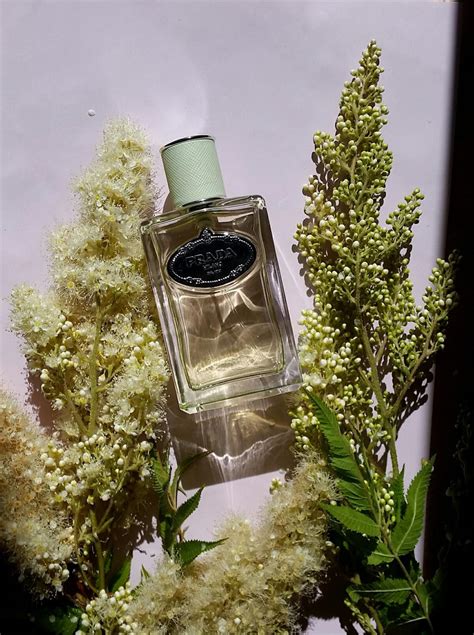 Infusion Diris 2015 Prada Una Fragranza Da Donna 2015