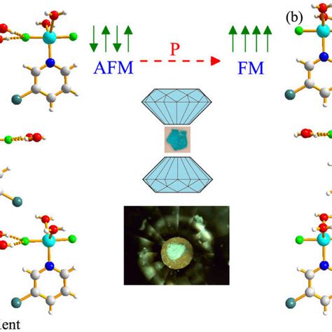 Crystal Structure Of Cuf2h2o23 Chloropyridine At 10 K Showing The