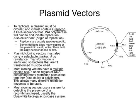 Recombinant Dna Technology Ppt Download