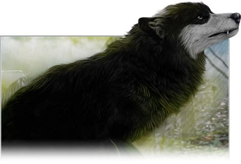 Do Not Go Gentle Into That Good Night Boards2go