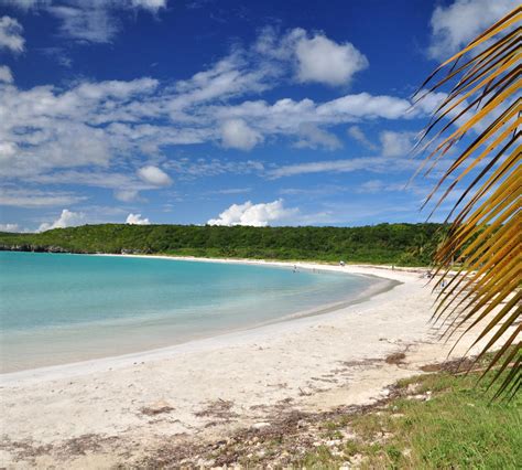 Vieques Island In Vieques 6 Reviews And 26 Photos