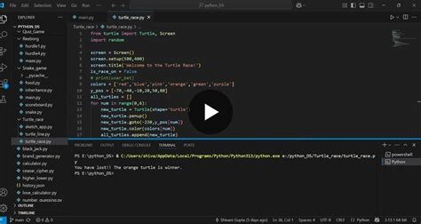 Python Codingfun Learningbydoing Womenwhocode Turtlegraphics
