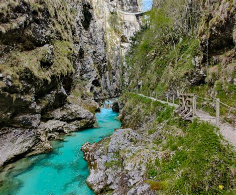 Tolminin Rotko Sai Haukkomaan Henkeä Nattura