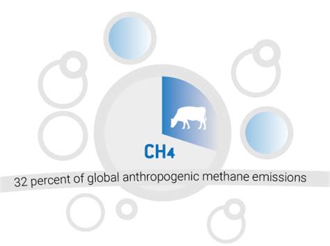 Enteric Methane