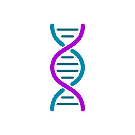 Dna Clip Art