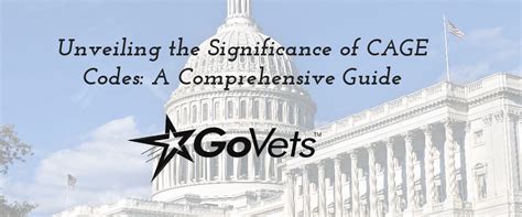 Introduction To Cage Codes Your Gateway To Government Contracting