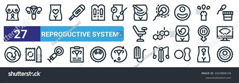 137 Angiography Icon Stock Vectors And Vector Art Shutterstock