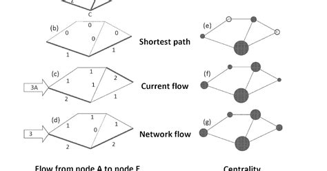 Connectivity Analysis