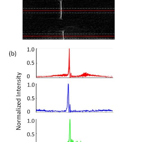 A A Representative Image Of The Probe Laser Beam Reflected From A Download Scientific Diagram