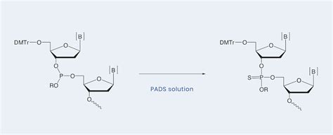 Oligonucleotide Synthesis Reagents