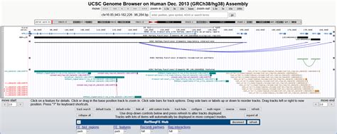 ncbi refseq functional elements