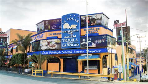 ¿qué Hacía Tan Famosa A La Polar Webcams De México