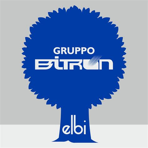 La Storia Del Gruppo Bitron Bitron