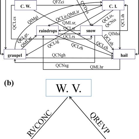 The Schematics Diagram Of The Cloud Microphysical Processes A Ice
