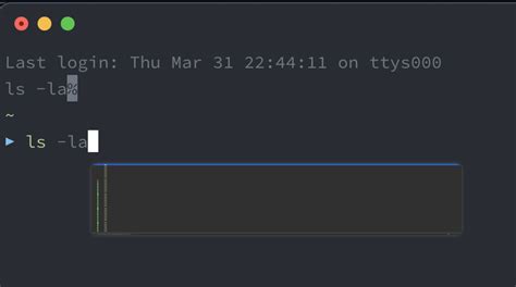 Fig Displays With Tiny Font · Issue 1239 · Withfigfig · Github