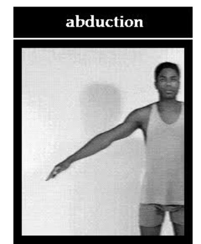 Horizontal Abduction Degrees
