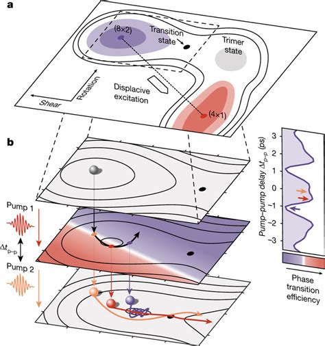Two Dimensional Picture Of The Phase Transition Dynamics A Proposed