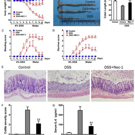 Effect Of Nec 1 On Expression Of Rip1 Rip3 Caspase 8 And Mlkl In Download Scientific Diagram