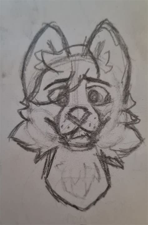 Mico Fuffytrash Twitter
