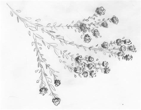 Botanical Class Skillshare Student Project