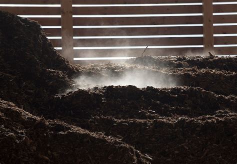 Premium Photo Wood Chips As A Renewable Heating Fuel And Energy Source