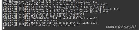 ubuntu 22 04搭建openvpn服务器 csdn博客