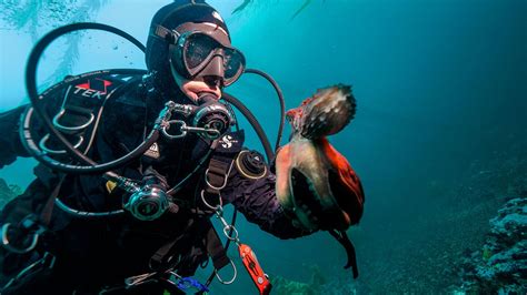 Dónde Están Los Bosques Marinos Escondidos De Argentina Que Pueden Ayudar A Frenar El Cambio