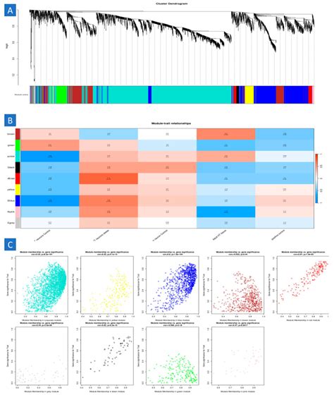 Integrating Microarray Data And Single Cell Rna Seq Reveals Key Gene Involved In Spermatogonia