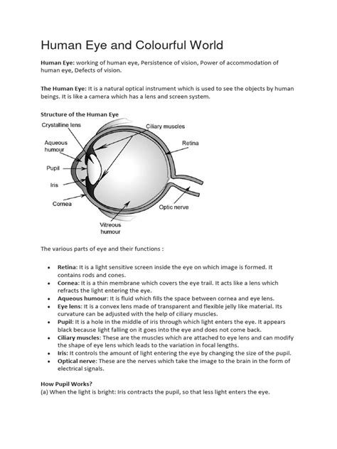Human Eye And Colourful World Pdf Eye Human Eye