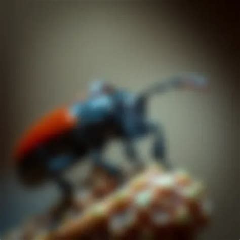 Types Of Clump Grass An In Depth Analysis