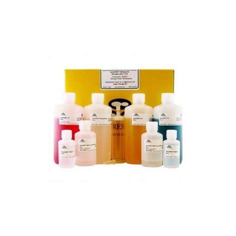 Zymo Research Zymopure Ii Plasmid Midiprep 50 Preps Zd4201 Zoro