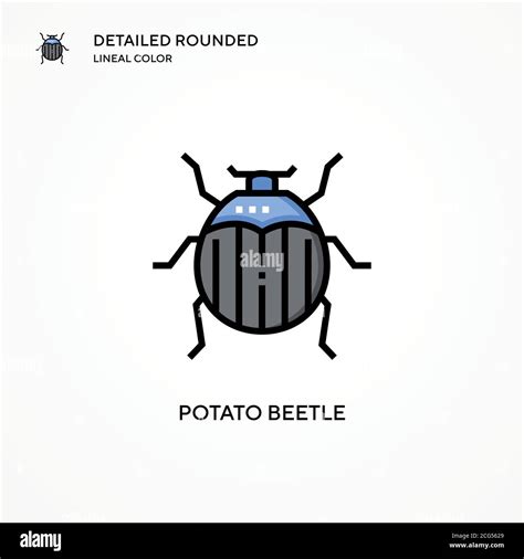 Potato Beetle Eating Leaf Stock Vector Images Alamy