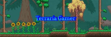 Terraria S