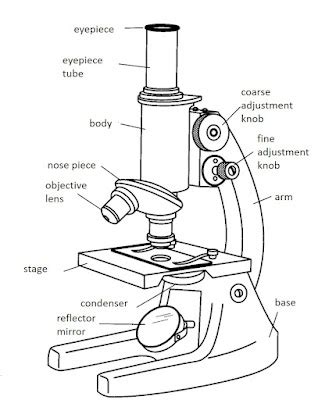 Instruments Used In Plant Pathology Lab