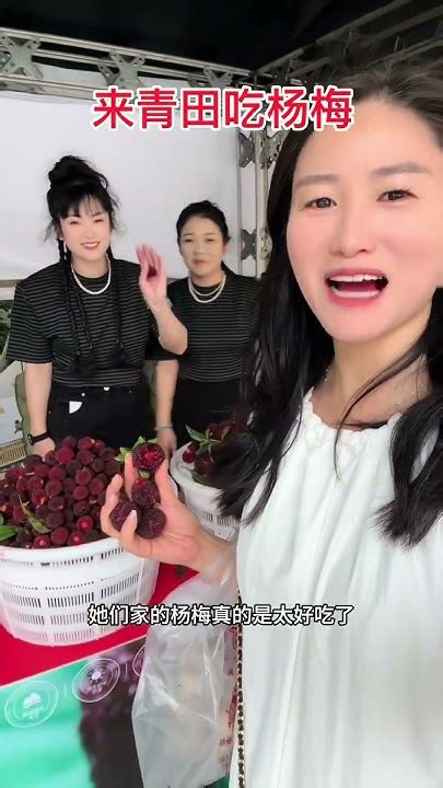 回国 6月份正好是青田杨梅采摘季节，所以这几天在青田的大街小巷哪里都可以见到杨梅，作为青田人一定要好好的吃个够，因为出国离开家乡想吃杨梅可不是件容易的事了！青田杨梅 Youtube