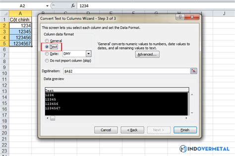 Hướng Dẫn Chuyển định Dạng Số Sang Text Trong Excel Mindovermetal