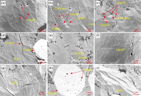 Typical Examples Of Mineral Matrix Pores From Well Y1 A−c Sample Id