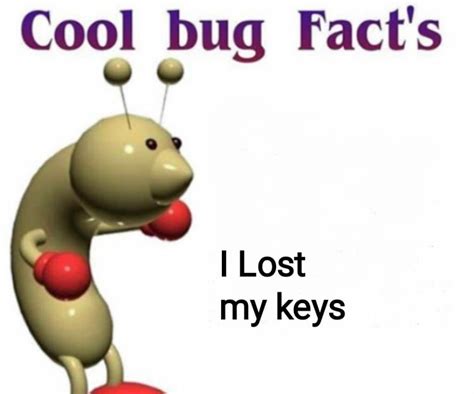Bug Fact Rcoolbugfacts