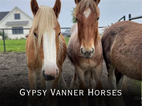 Tesch Hillside Ranch Tesch Hillside Ranch