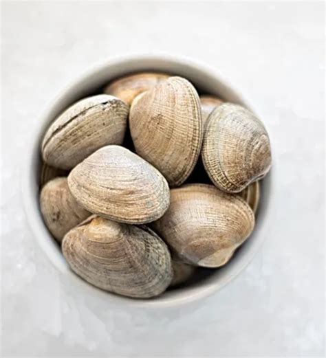 Manila Clams — Local Ocean