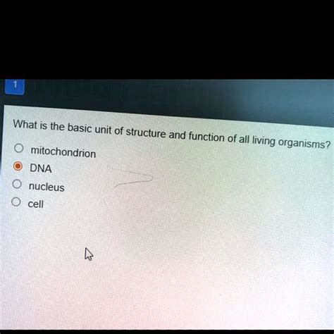 SOLVED What Is The Basic Unit Of Structure And Function Of All Living Organisms