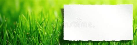 White Paper With Subtle Grass Texture Background Material Card