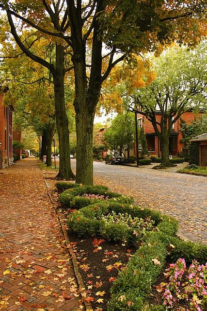 Street Trees Brick Sidewalk Urban Garden