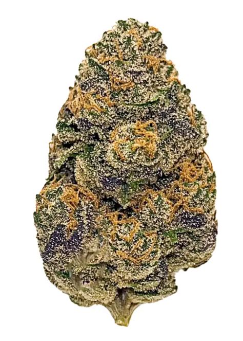 Toad Venom Cannabis Strain Information Growdiaries