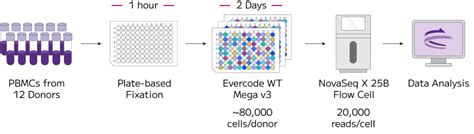 1 Million Human Pbmcs In A Single Whole Transcriptome Experiment