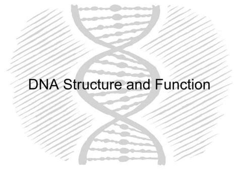 Dna Structure And Types Pptx Chemistry Science